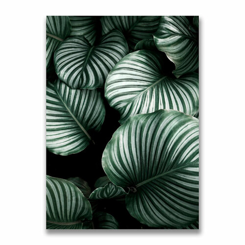 Картина на холсте Зеленые листья №3, 50х70 см