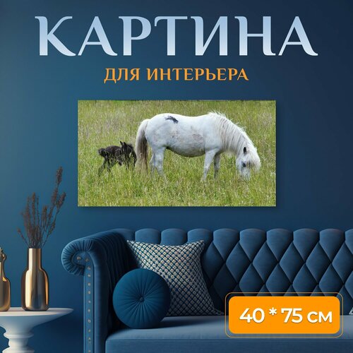 Картина на холсте "Кобыла, жеребенок, лошадь" на подрамнике 75х40 см. для интерьера