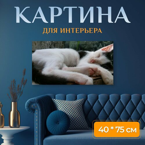 Картина на холсте "Кошка, спящая кошка, кошки любят" на подрамнике 75х40 см. для интерьера