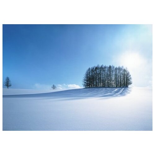 Постер на холсте Деревья в снегу №1 56см. x 40см.