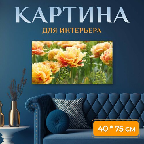 Картина на холсте "Бахромчатый тюльпан пион, бахромчатый тюльпан, апельсин" на подрамнике 75х40 см. для интерьера