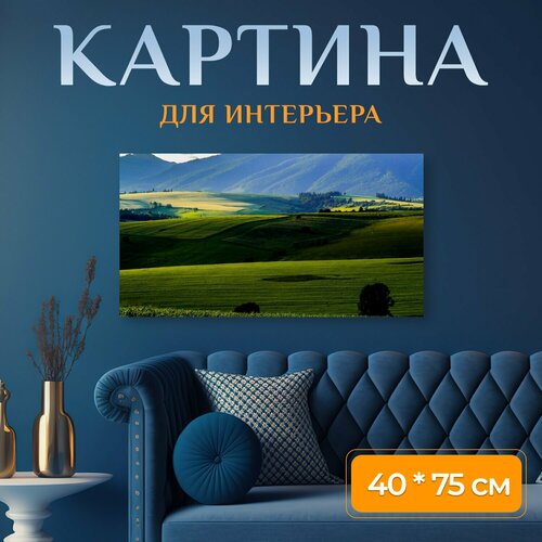 Картина на холсте "Липтов, поле, гора" на подрамнике 75х40 см. для интерьера