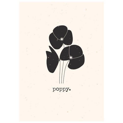 Постер / Плакат / Картина Цветы и растения - Черный мак 40x50 см в раме