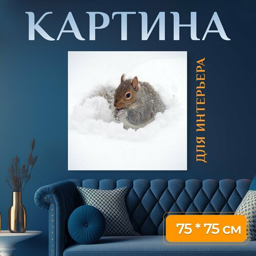 Картина на холсте "Белка, зима, животное" на подрамнике 75х75 см. для интерьера