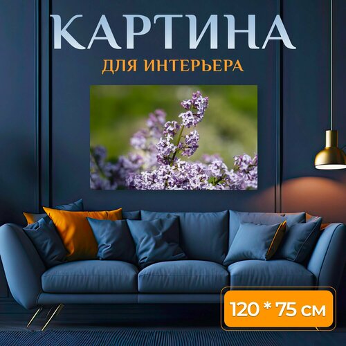 Картина на холсте "Сирень, цветок, банка" на подрамнике 120х75 см. для интерьера