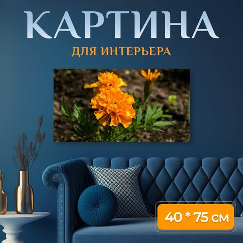 Картина на холсте "Бархотки, цветы, лепестки" на подрамнике 75х40 см. для интерьера