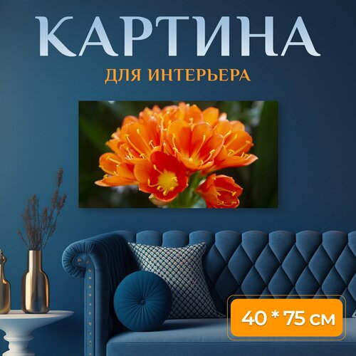 Картина на холсте "Джентльмен, весенние цветы, бутоны" на подрамнике 75х40 см. для интерьера