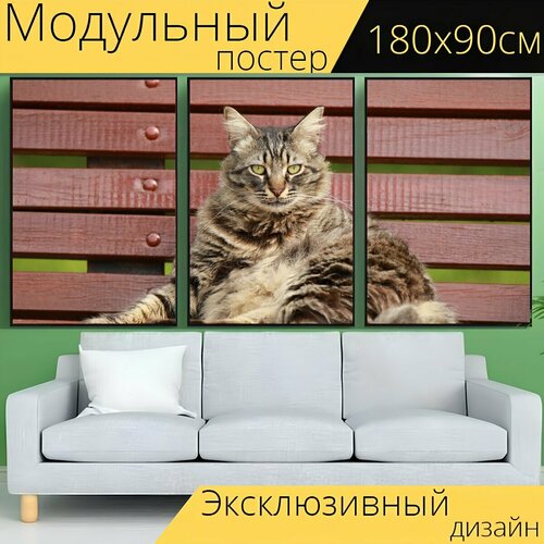 Модульный постер "Животное, кошка, скамейка" 180 x 90 см. для интерьера
