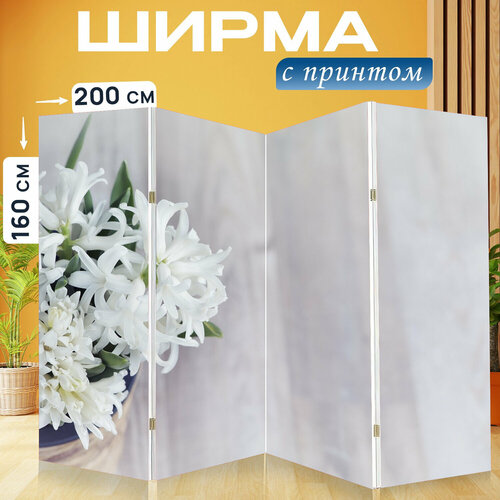 Ширма перегородка с принтом "Цветок, белый, расцветает" на холсте - 200x160 см. для зонирования, раскладная