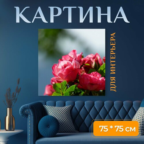 Картина на холсте "Мальва, роуз, цветок" на подрамнике 75х75 см. для интерьера
