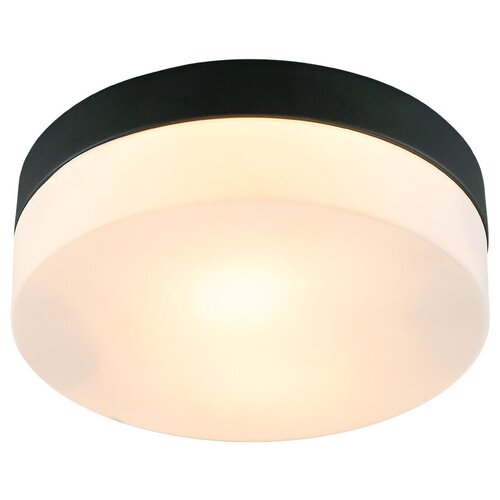 Светильник для ванной комнаты Arte Lamp AQUA-TABLET A6047PL-2BK