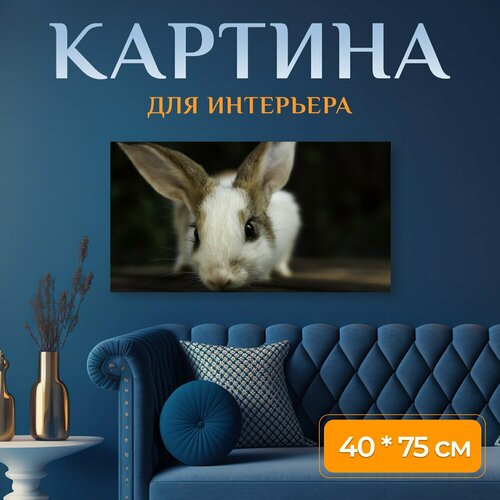 Картина на холсте "Кролик, домашний питомец, животное" на подрамнике 75х40 см. для интерьера