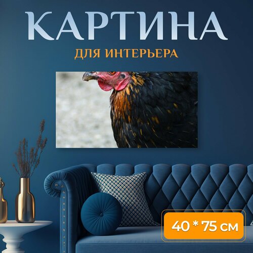Картина на холсте "Курица, ферма, птица" на подрамнике 75х40 см. для интерьера
