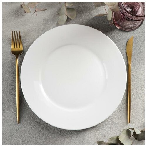 --- Тарелка обеденная с утолщённым краем White Label, 25х25х2 см, цвет белый