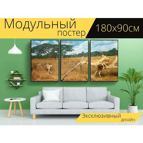 Модульный постер "Гепард, газель, охота" 180 x 90 см. для интерьера