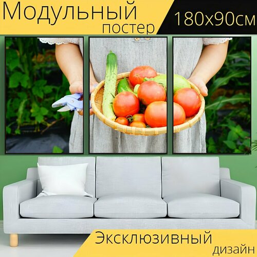 Модульный постер "Огород, огурец, помидор" 180 x 90 см. для интерьера