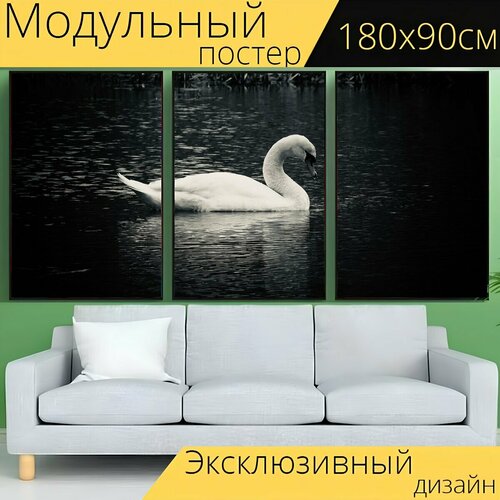 Модульный постер "Черное и белое, лебедь, озеро" 180 x 90 см. для интерьера