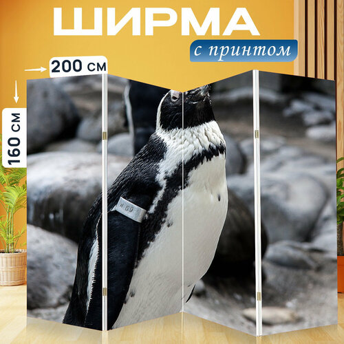 Ширма перегородка с принтом "Пингвин, птица, животное" на холсте - 200x160 см. для зонирования, раскладная