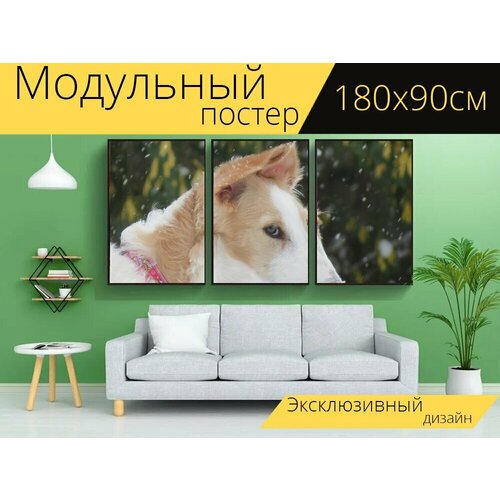 Модульный постер "Борзая, собака, животное" 180 x 90 см. для интерьера