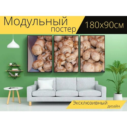 Модульный постер "Грибы, белый гриб" 180 x 90 см. для интерьера