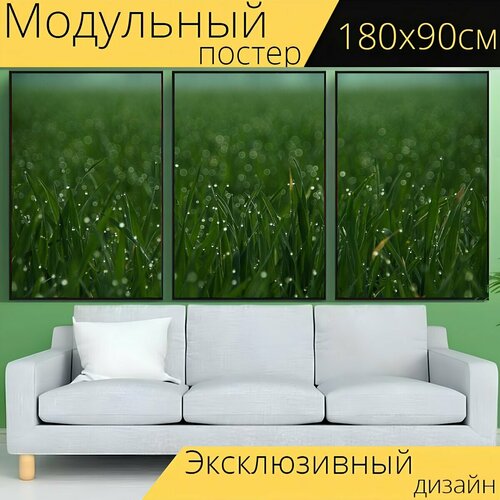 Модульный постер "Трава, капли, луг" 180 x 90 см. для интерьера