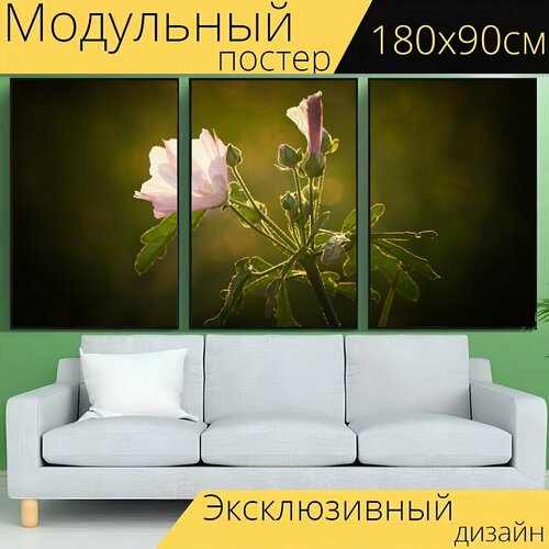 Модульный постер "Мальва, цветок, цвести" 180 x 90 см. для интерьера