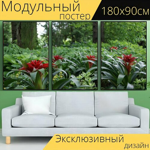 Модульный постер "Бромелия, сад, тропический" 180 x 90 см. для интерьера