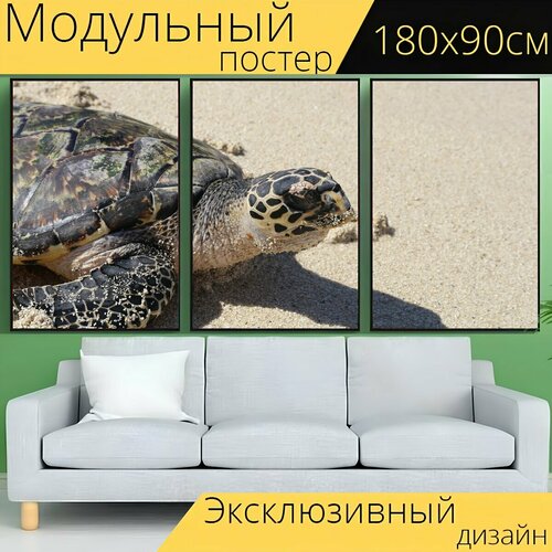 Модульный постер "Черепаха, пляж, песок" 180 x 90 см. для интерьера