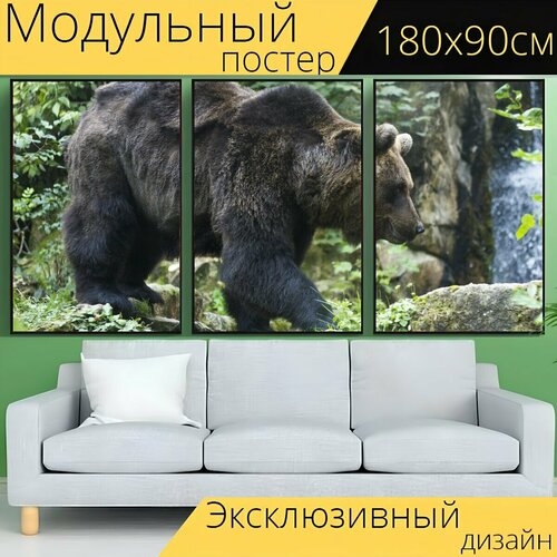 Модульный постер "Бурый медведь, нести, пушистый" 180 x 90 см. для интерьера