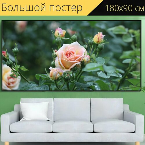 Большой постер "Роза, цветок, роса" 180 x 90 см. для интерьера