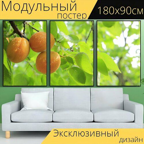 Модульный постер "Персик, желтый персик, фрукты" 180 x 90 см. для интерьера
