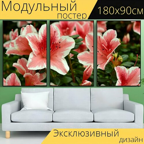 Модульный постер "Цветок, весенний цветок, розовый" 180 x 90 см. для интерьера