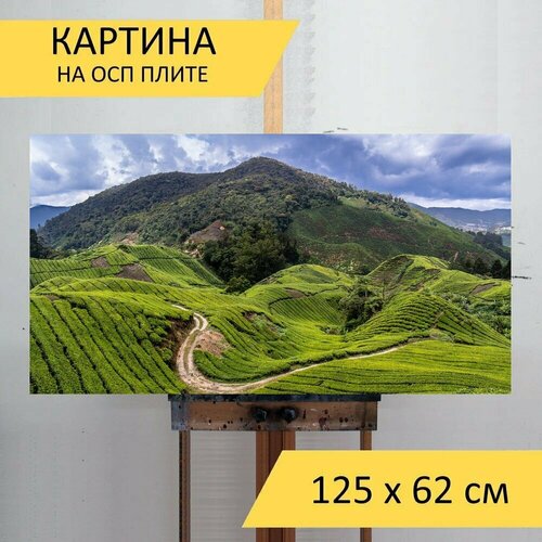 Картина на ОСП 125х62 см. "Малайзия, чайная плантация, путешествовать" горизонтальная, для интерьера, с креплениями