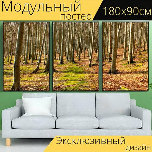 Модульный постер "Лес, деревья, лесные массивы" 180 x 90 см. для интерьера