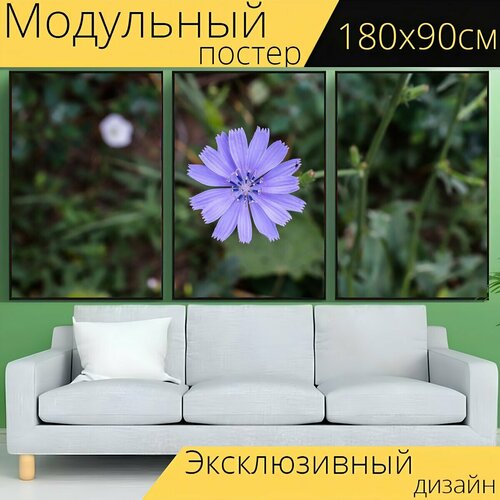 Модульный постер "Фиолетовый цветок, фиолетовый красоты, природа фиолетовый" 180 x 90 см. для интерьера
