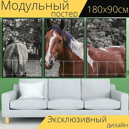 Модульный постер "Лошадь, ферма, конный спорт" 180 x 90 см. для интерьера