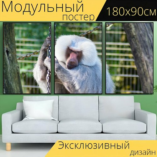 Модульный постер "Бабуин, обезьяна, животных" 180 x 90 см. для интерьера
