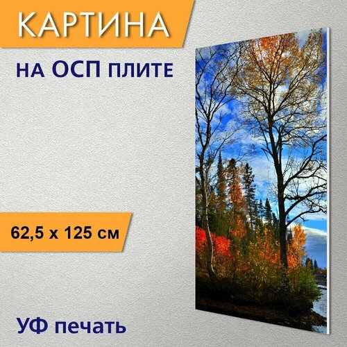 Вертикальная картина на ОСП "Осенний пейзаж, осень, цвета" 62x125 см. для интерьериа