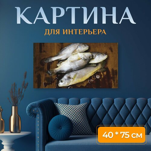 Картина на холсте "Рыбы, сырая рыба, мокрый" на подрамнике 75х40 см. для интерьера