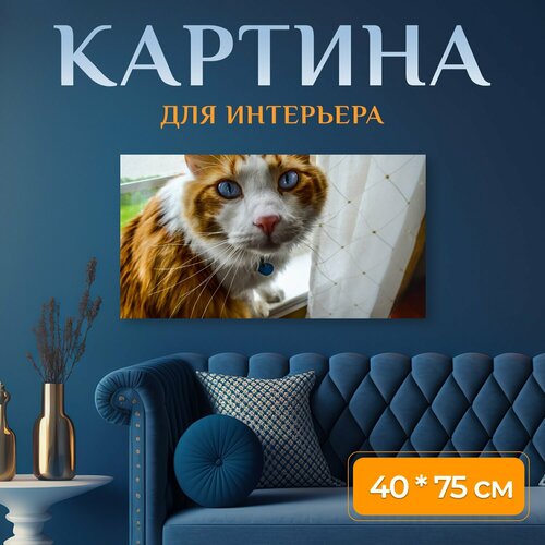 Картина на холсте "Кошка, кошачий, красивая" на подрамнике 75х40 см. для интерьера