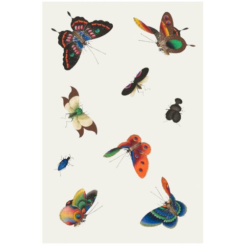 Постер / Плакат / Картина Бабочки - Танец ярких бабочек 50х70 см в подарочном тубусе