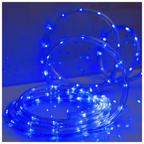 LED шнур 10 мм, круглый, 5 м, чейзинг, 2W-LED/м-24-220V, с контр. 8р, синий./В упаковке шт: 1