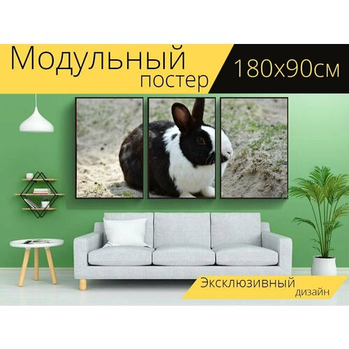 Модульный постер "Кролик, маленький кролик, животное" 180 x 90 см. для интерьера