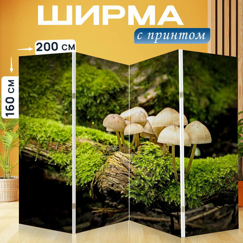 Ширма перегородка с принтом "Гриб, грибок, грибы" на холсте - 200x160 см. для зонирования, раскладная