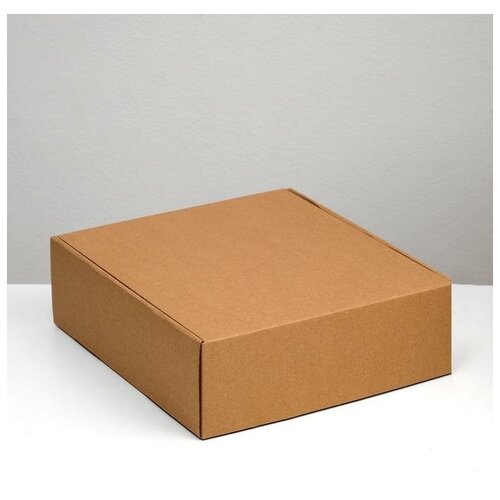 Коробка самосборная крафт 29 5 х 28 5 х 9 5 см