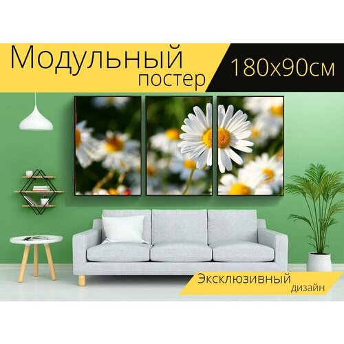 Модульный постер "Цветы, ромашки, луг" 180 x 90 см. для интерьера