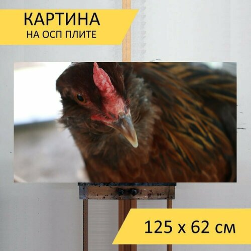 Картина на ОСП 125х62 см. "Курица, птица, домашняя птица" горизонтальная, для интерьера, с креплениями