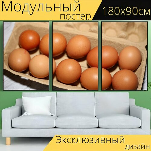 Модульный постер "Яйцо, еда, завтрак" 180 x 90 см. для интерьера