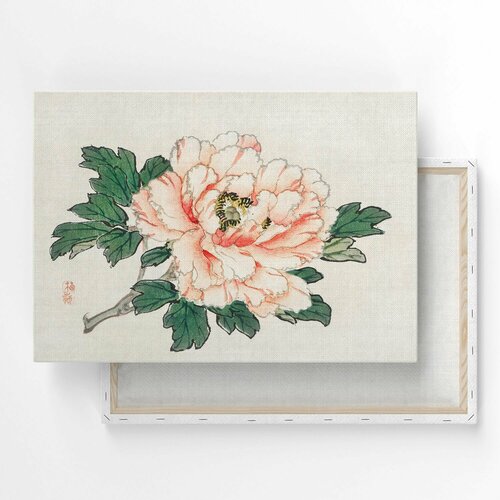 Картина на холсте, репродукция / Байрэй, Коно - Pink rose / Размер 60 x 80 см