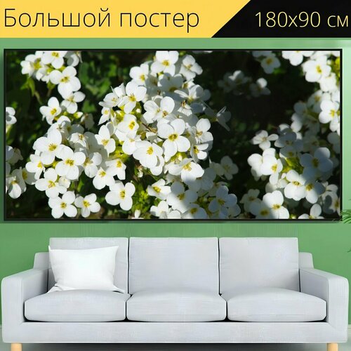 Большой постер "Поляна, белые цветы, природа" 180 x 90 см. для интерьера